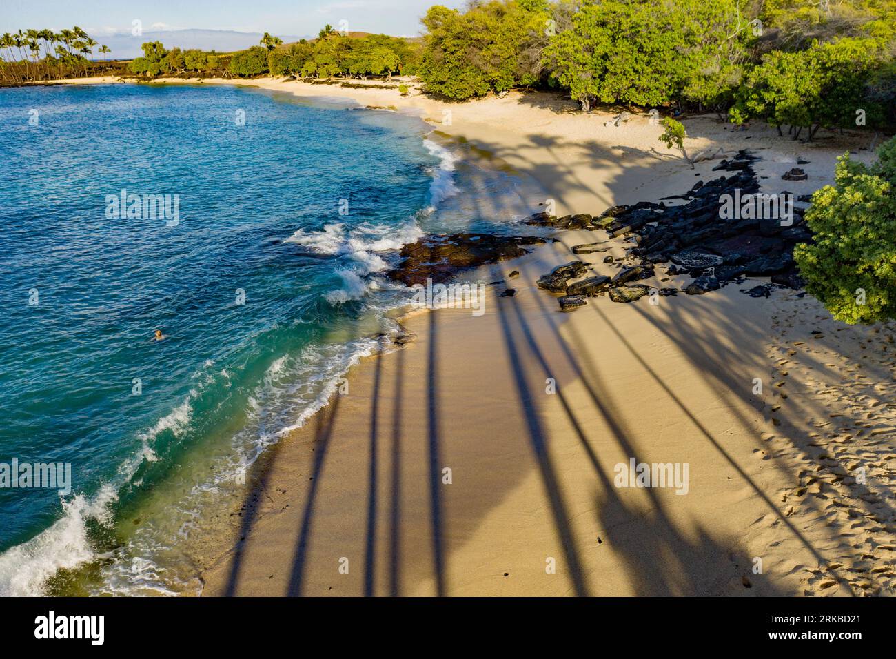Palm shadows on the beach, Maha'ula Beach State Park, Big island of ...
