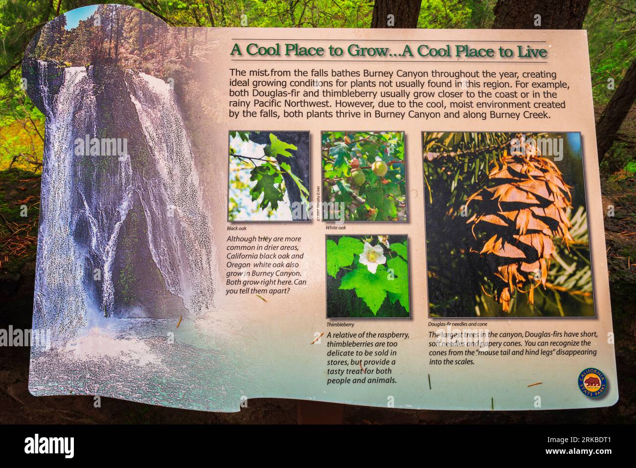 Burney falls visitor information hi-res stock photography and images ...