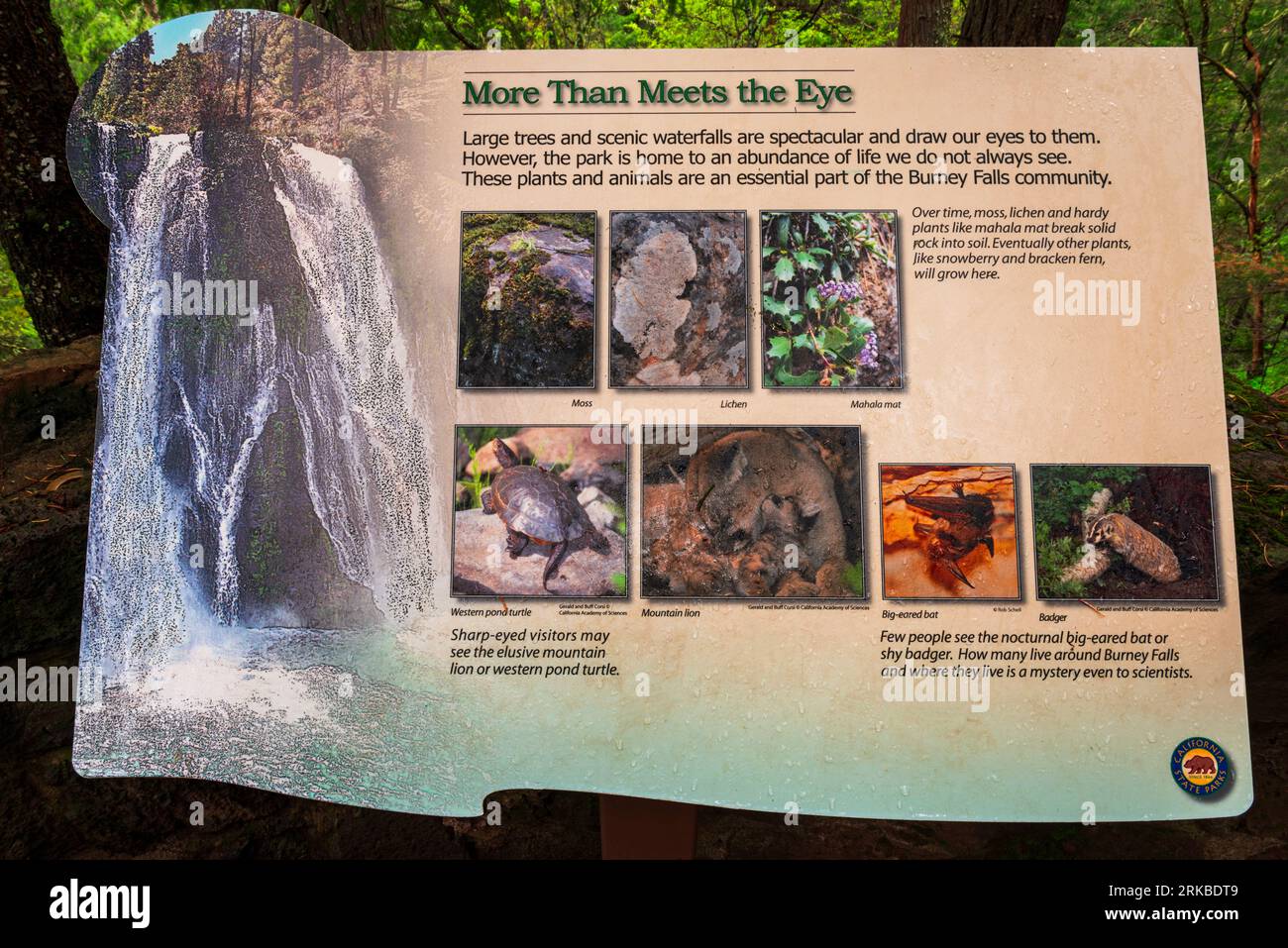 Burney falls visitor information hi-res stock photography and images ...