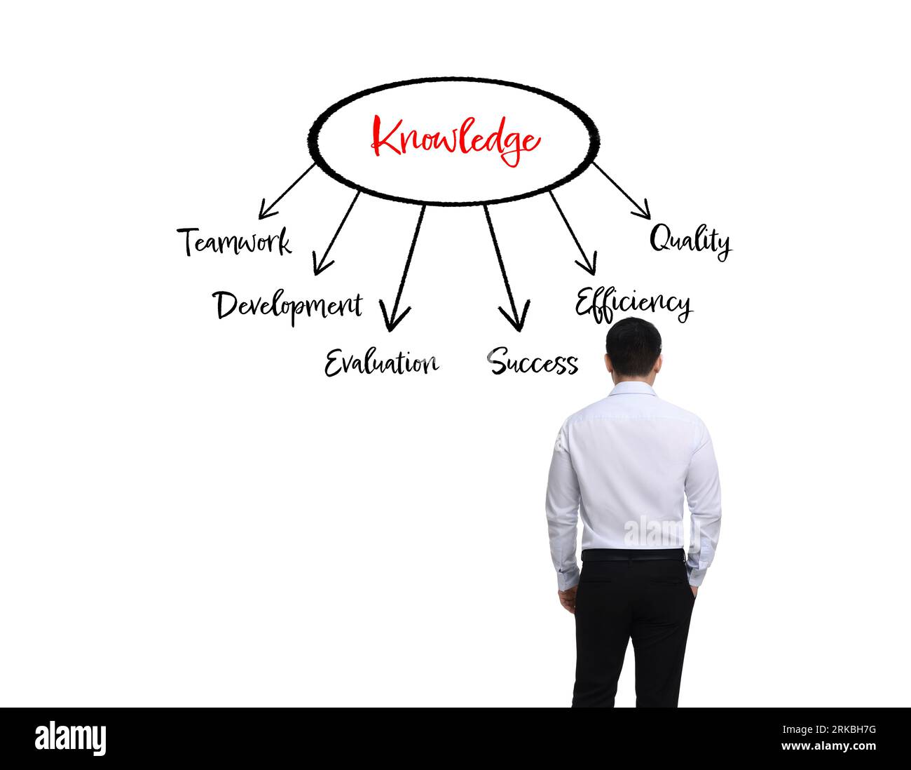 Logic. Man standing in front of diagram on white background, back view ...