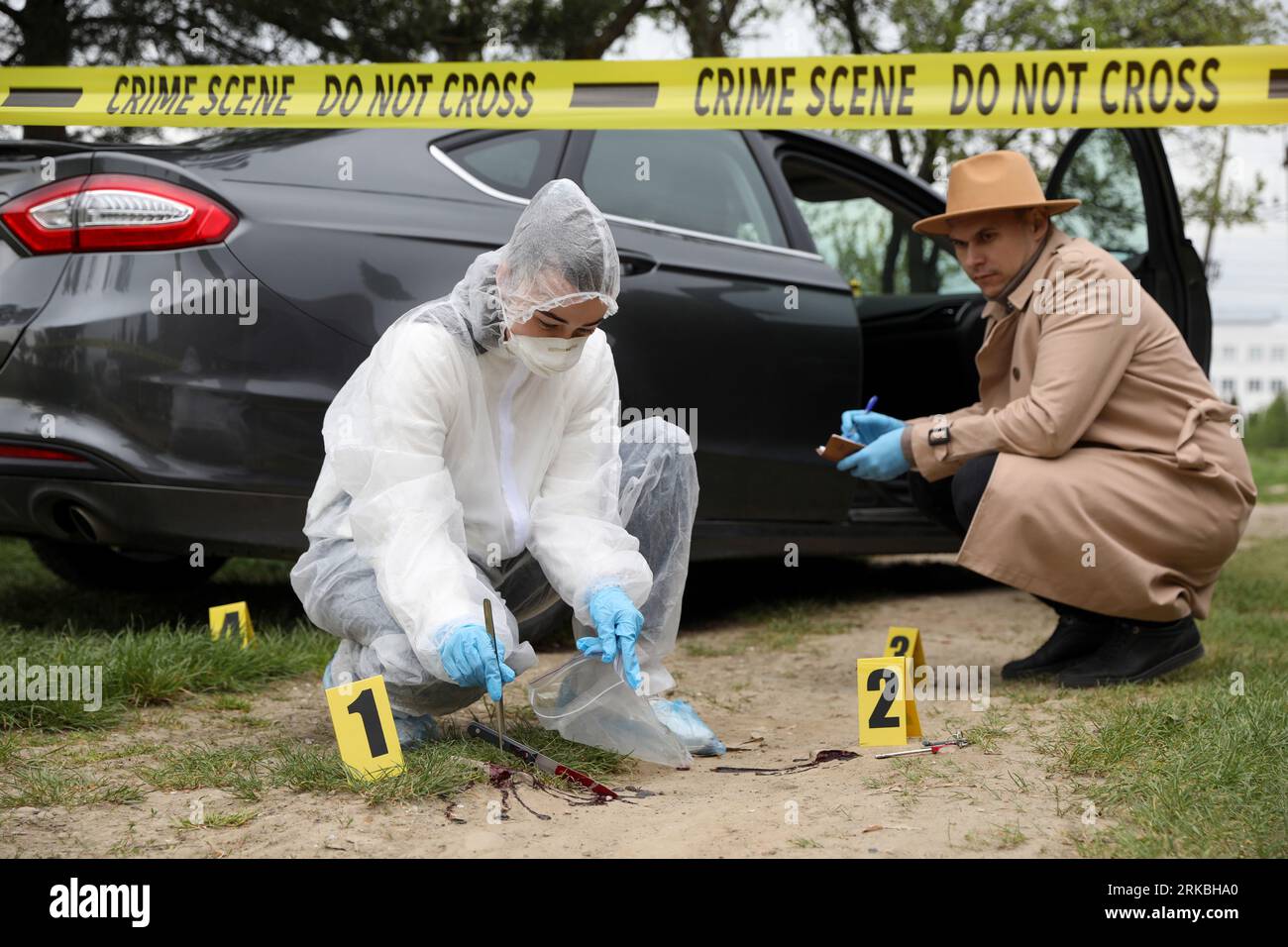 Investigator and criminologist working with evidences at crime scene near car outdoors Stock ...