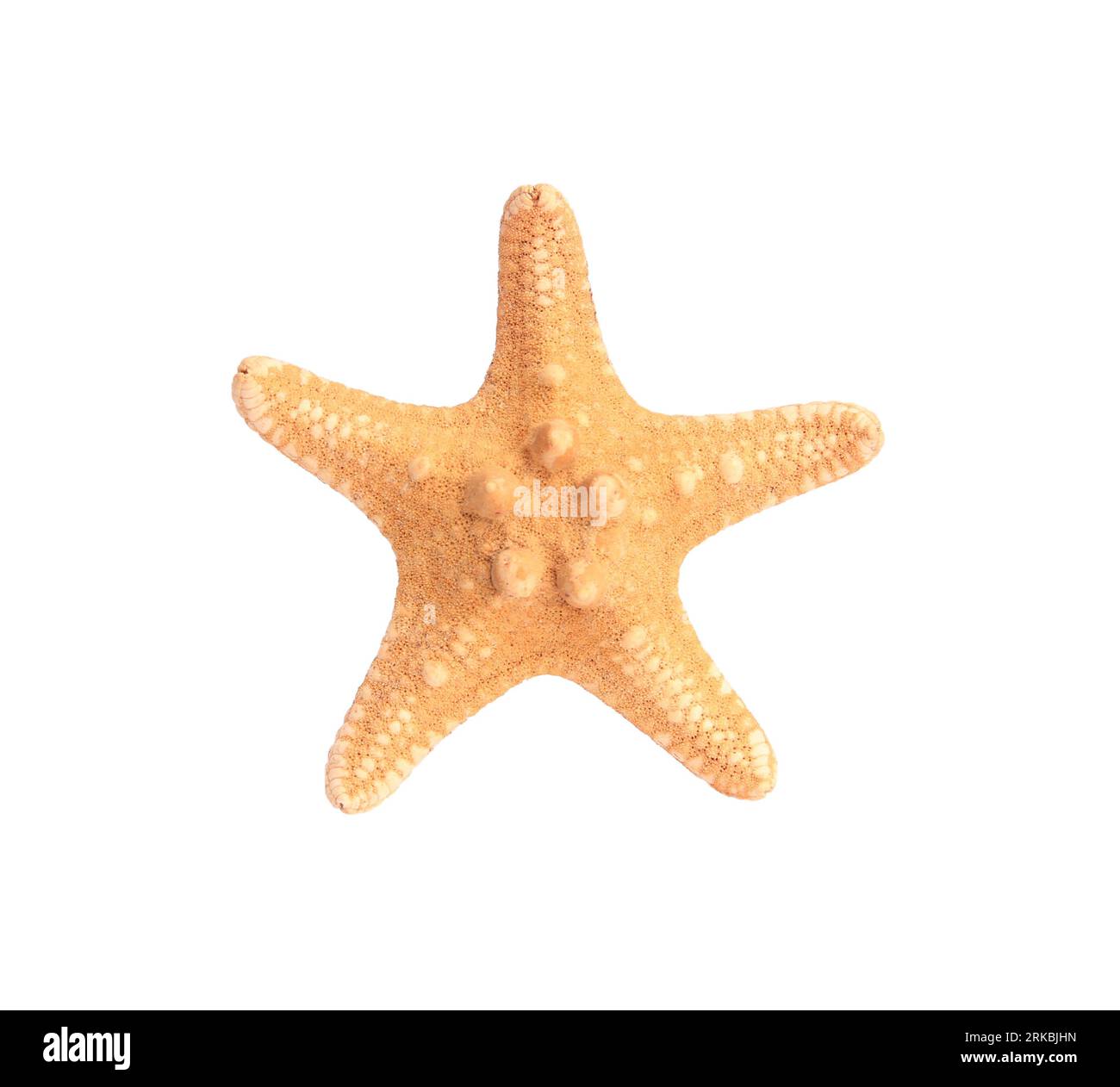 Beautiful sea star (starfish) isolated on white Stock Photo - Alamy