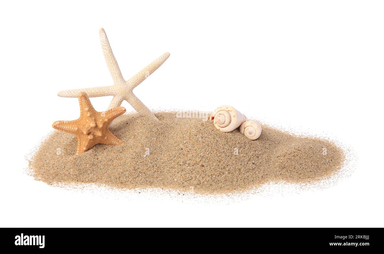 Beautiful sea stars shells hi-res stock photography and images - Alamy