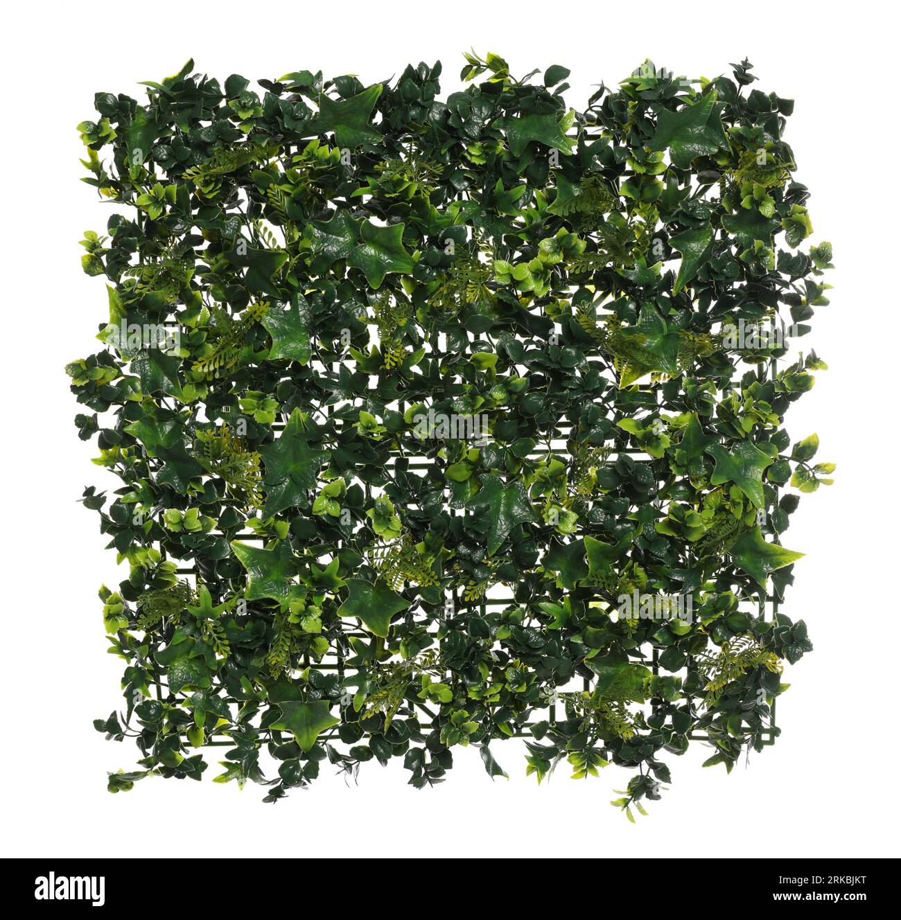 Artificial greenery Cut Out Stock Images & Pictures - Alamy