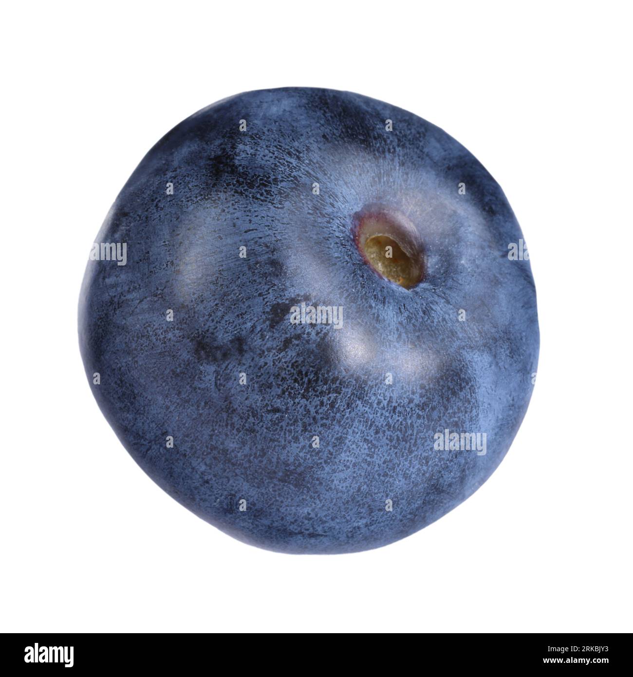 One fresh ripe blueberry isolated on white Stock Photo - Alamy