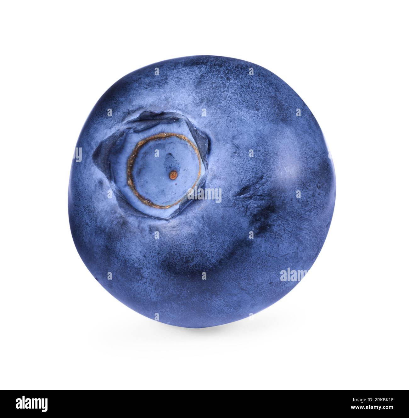 One ripe tasty blueberry isolated on white Stock Photo - Alamy