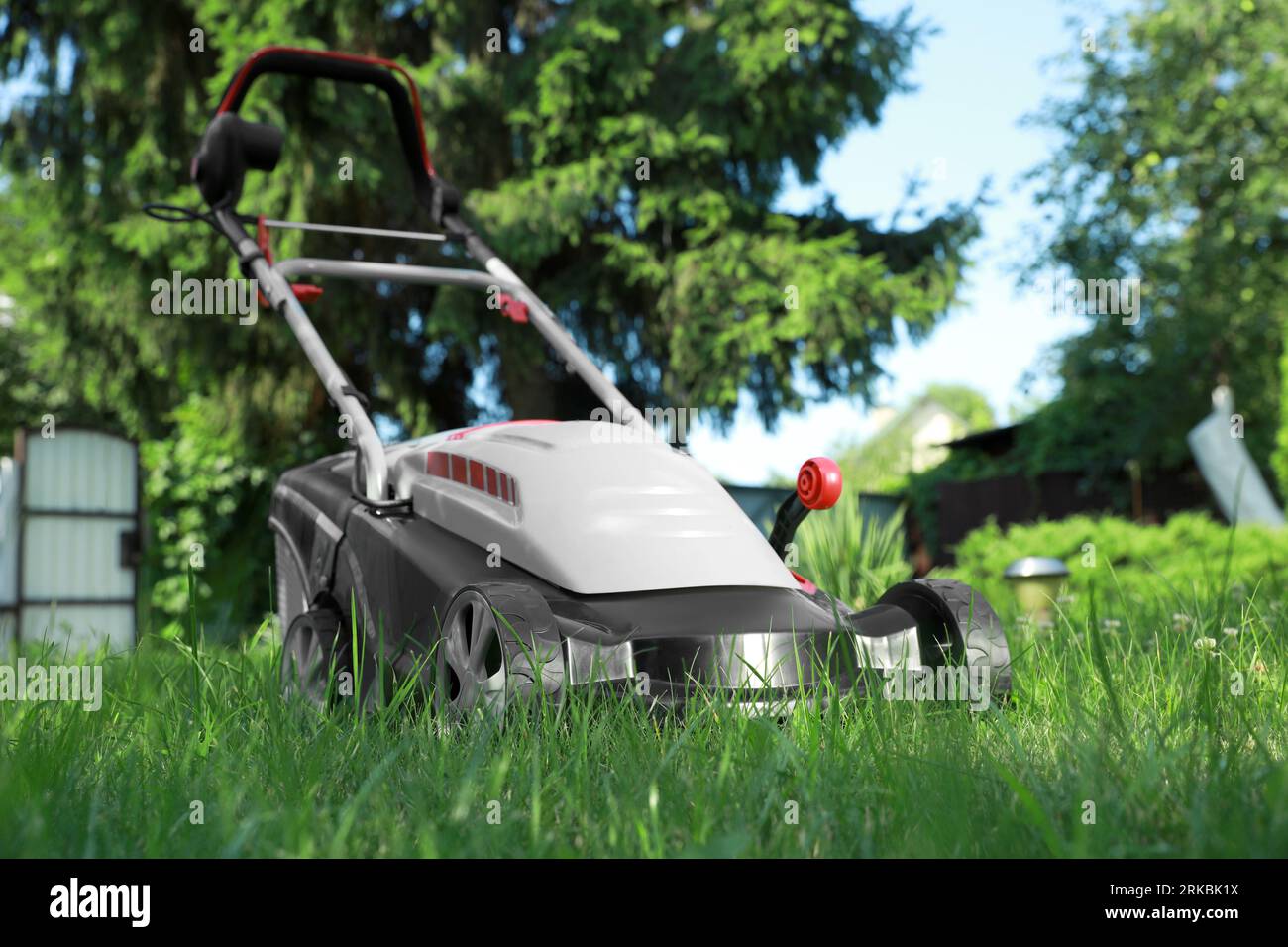 Backyard grass low angle hi-res stock photography and images - Alamy