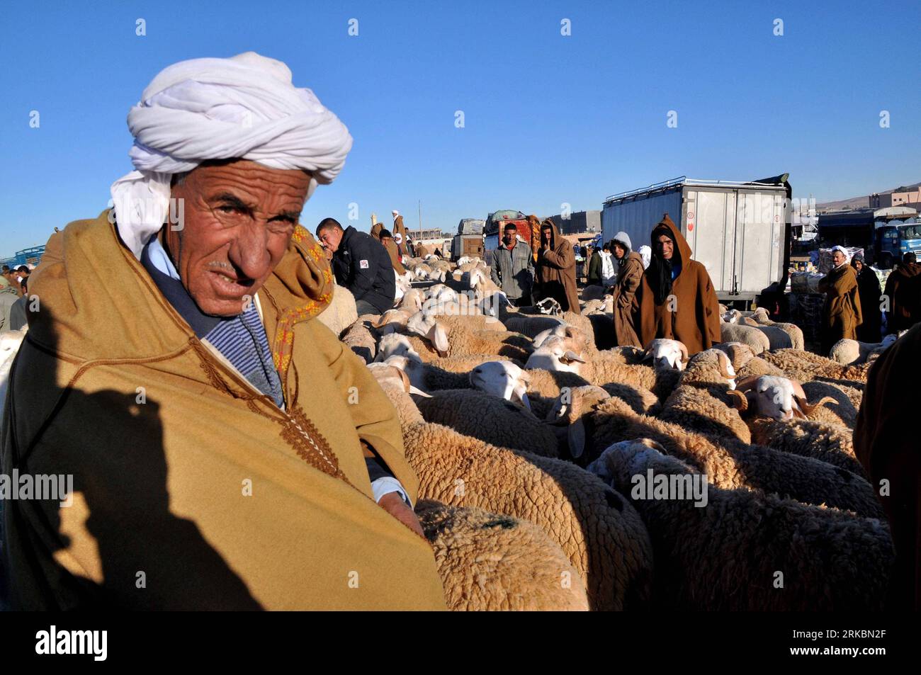 Djelfa hi-res stock photography and images - Alamy