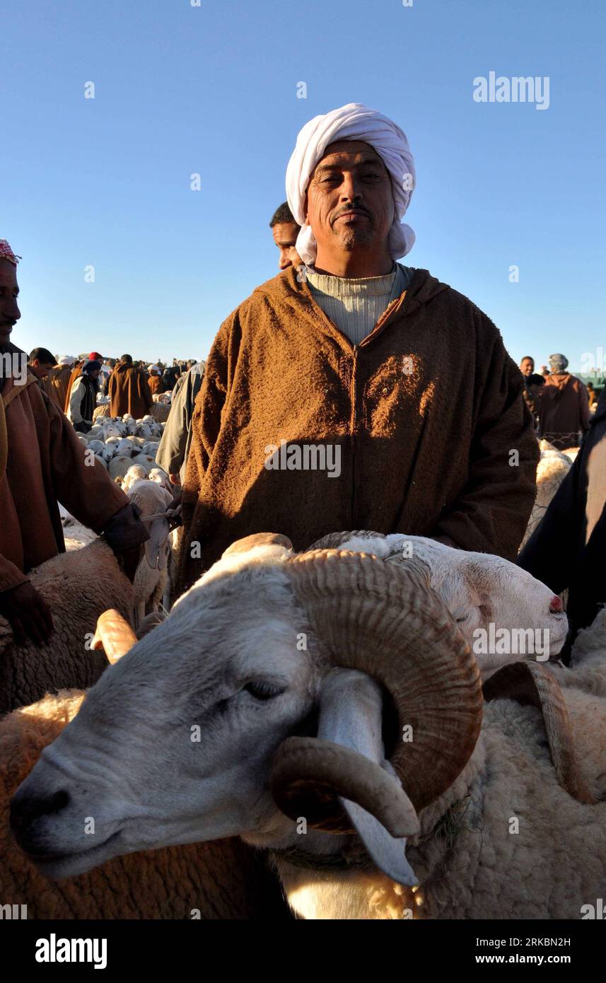 Djelfa hi-res stock photography and images - Alamy