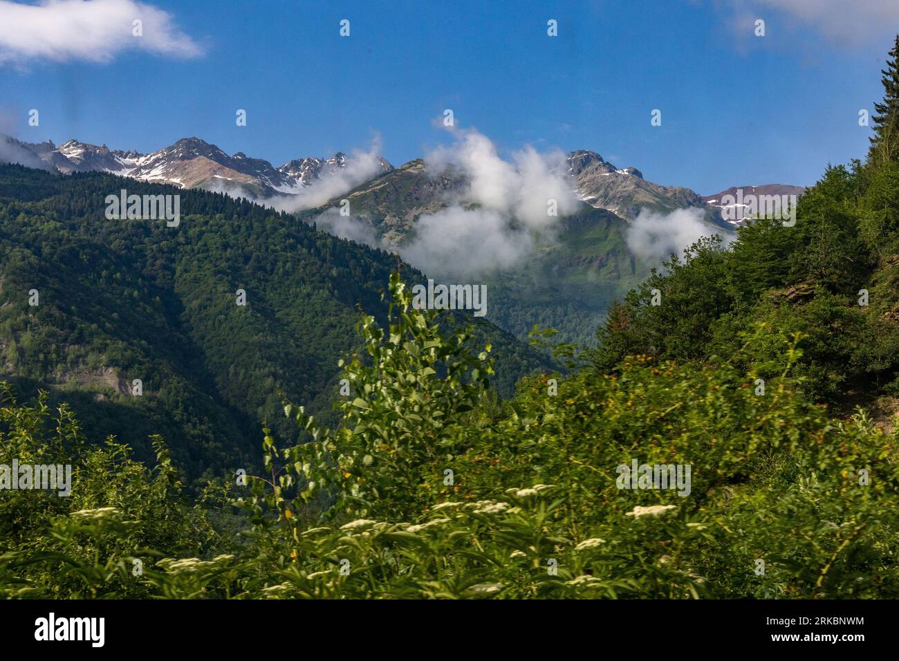 A scenic view of green vegetation in mountains in Georgia Stock Photo ...