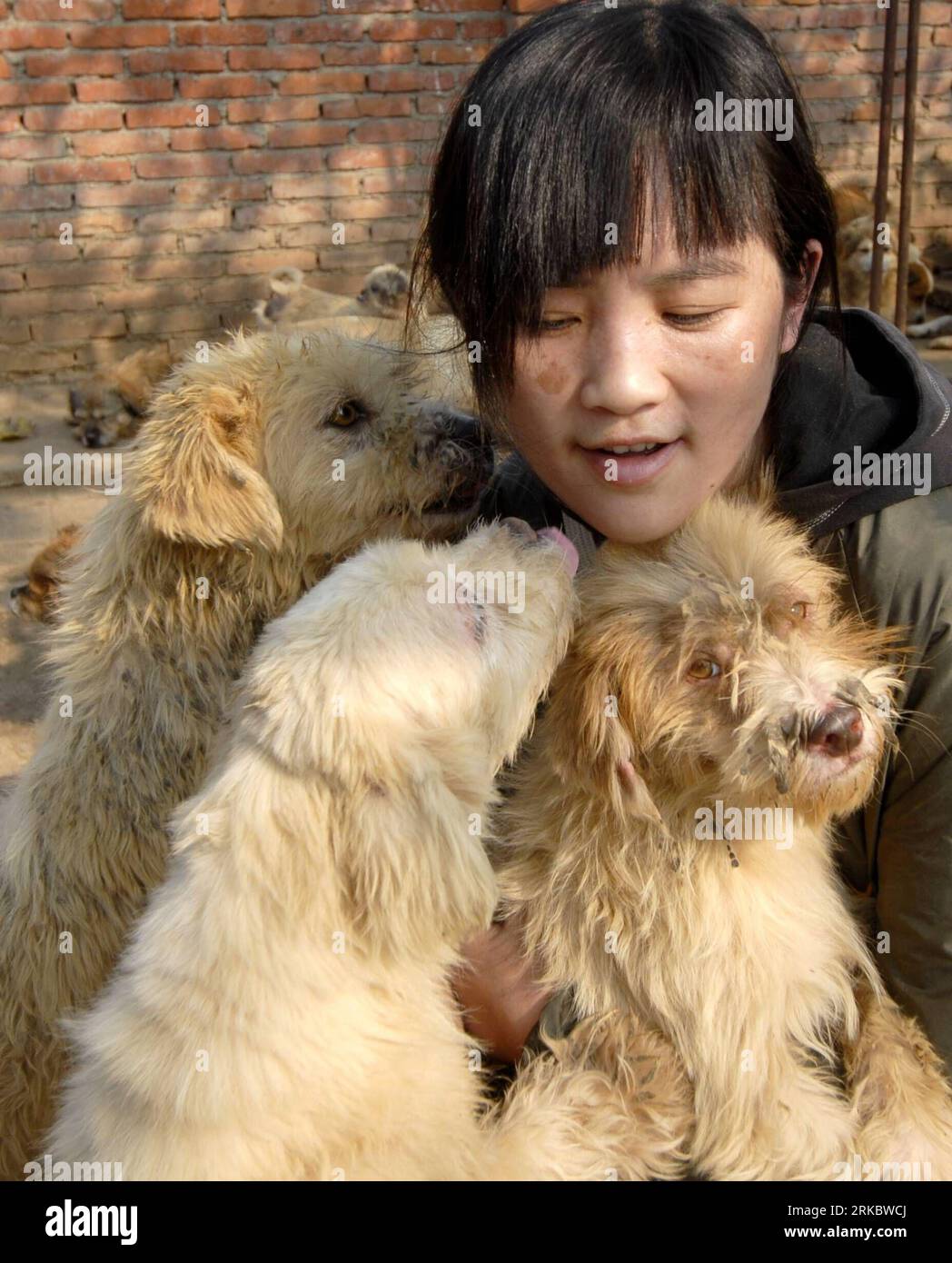 Ha wenjin hi-res stock photography and images - Alamy