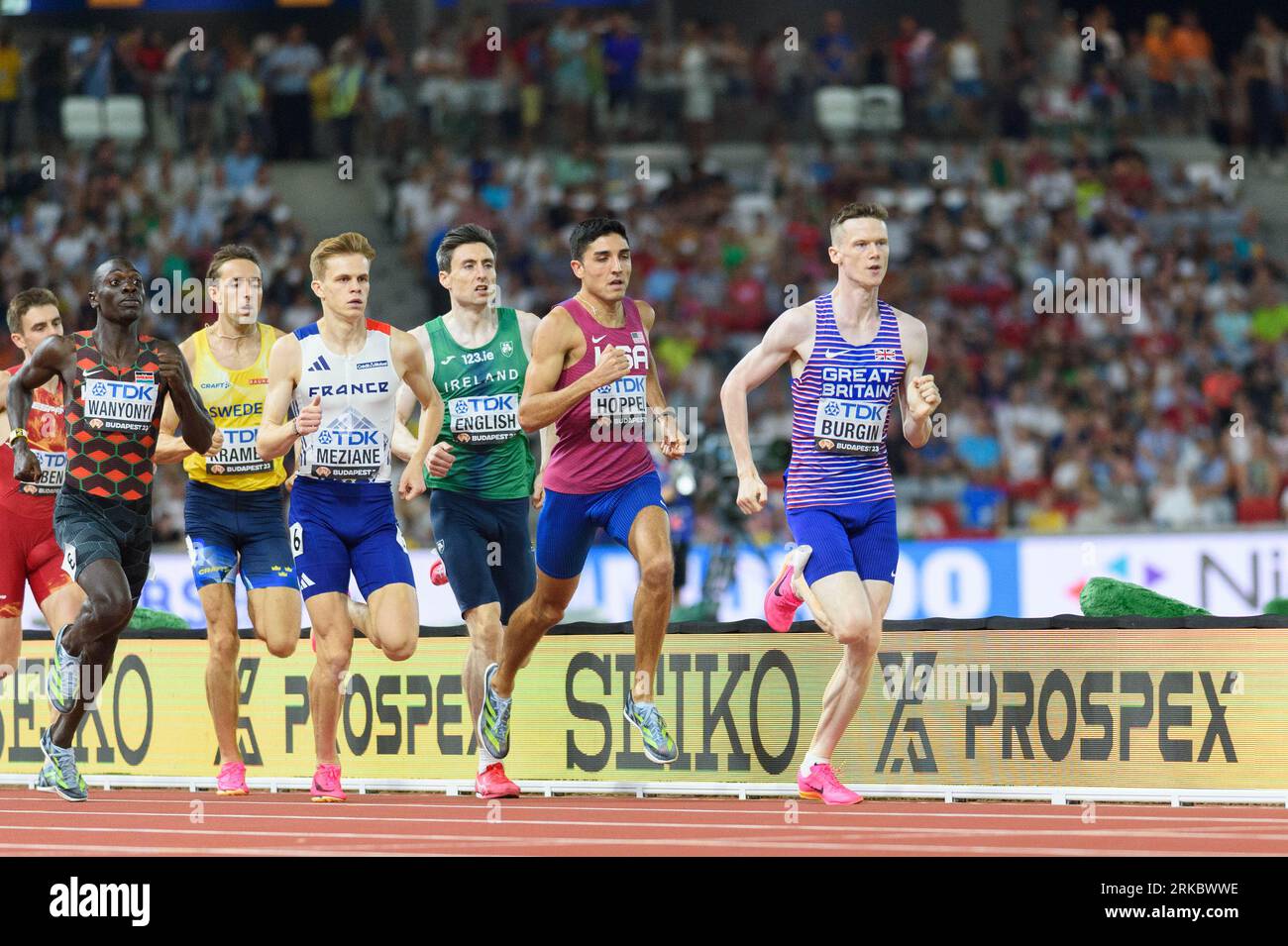 Daniel rowden hi-res stock photography and images - Alamy