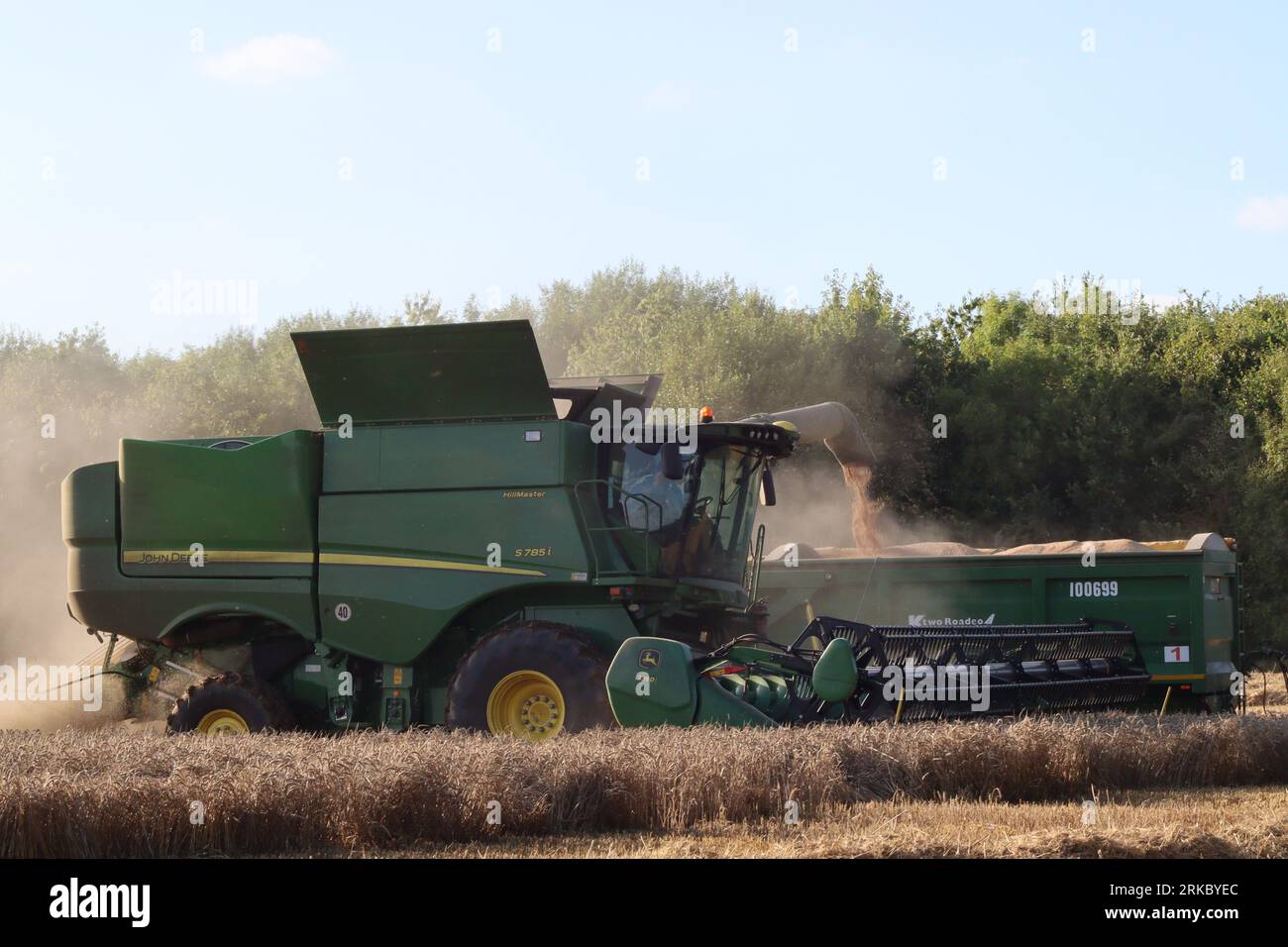 Last few grains of wheat empty from the combine harvester’s delivery ...