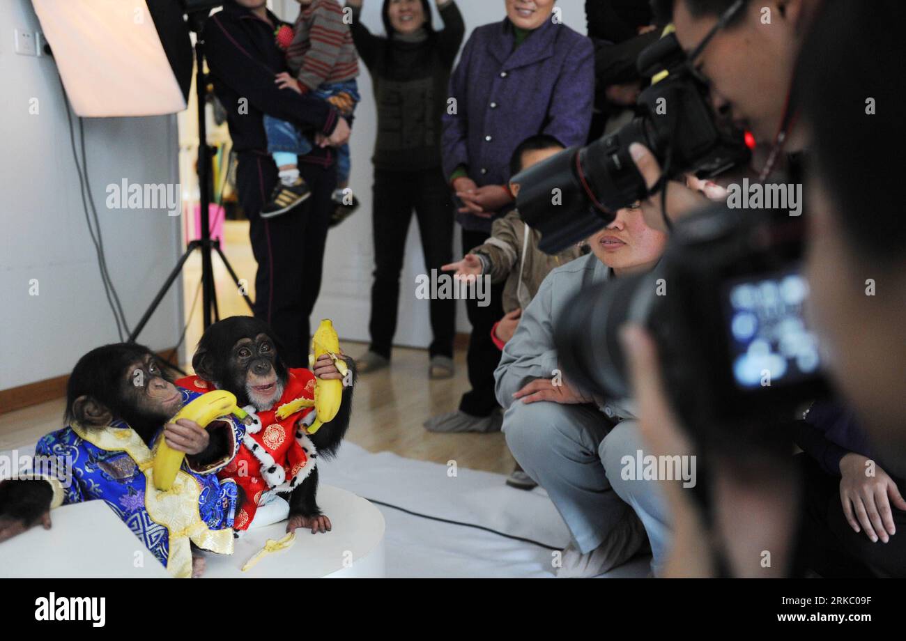 Chinese schim hi-res stock photography and images - Alamy