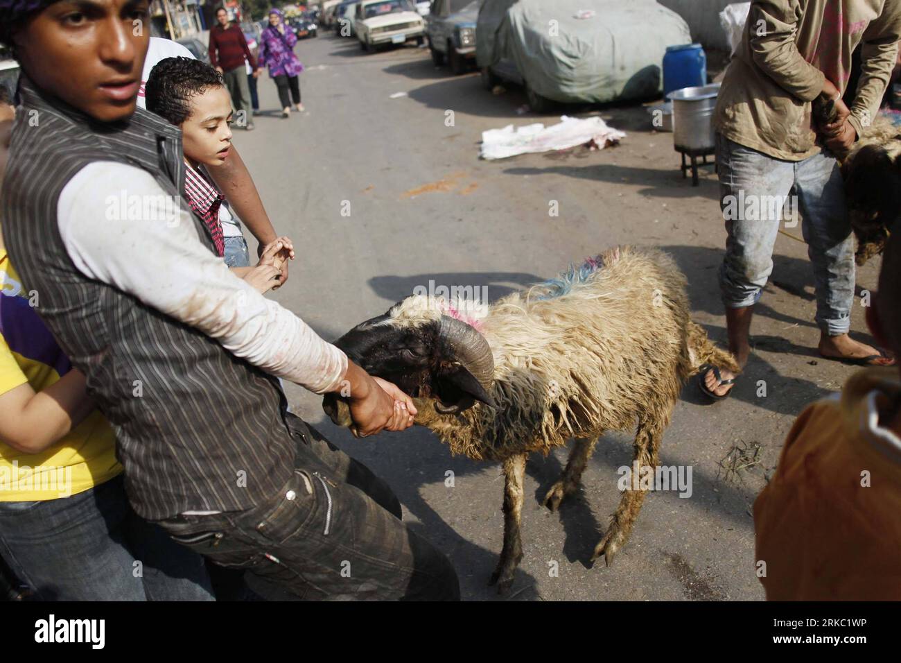 Bildnummer: 54645001 Datum: 16.11.2010 Copyright: imago/Xinhua CAIRO ...