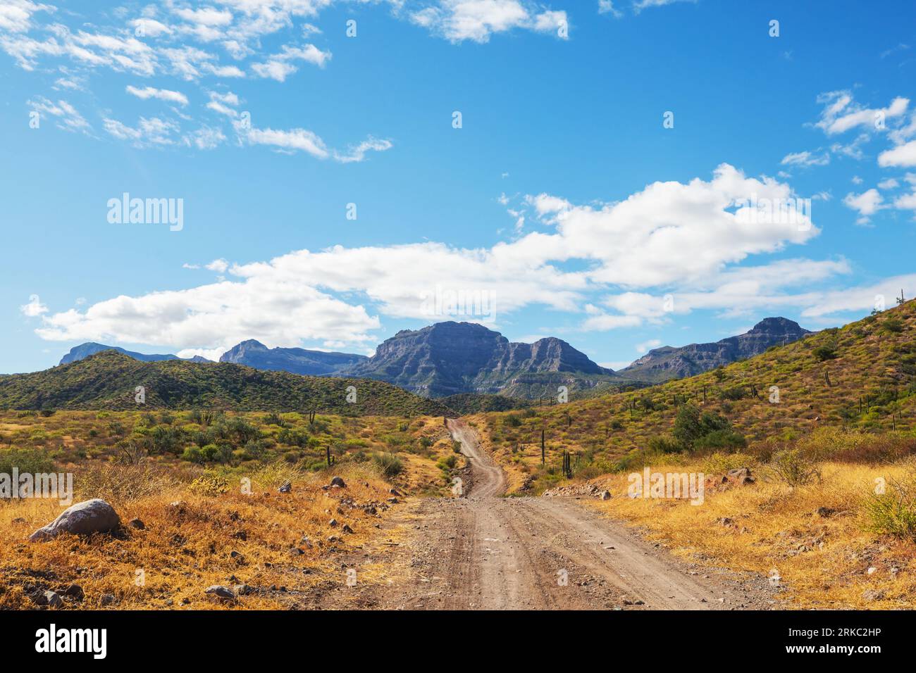 Beautiful natural landscapes in Baja California, Mexico Stock Photo - Alamy