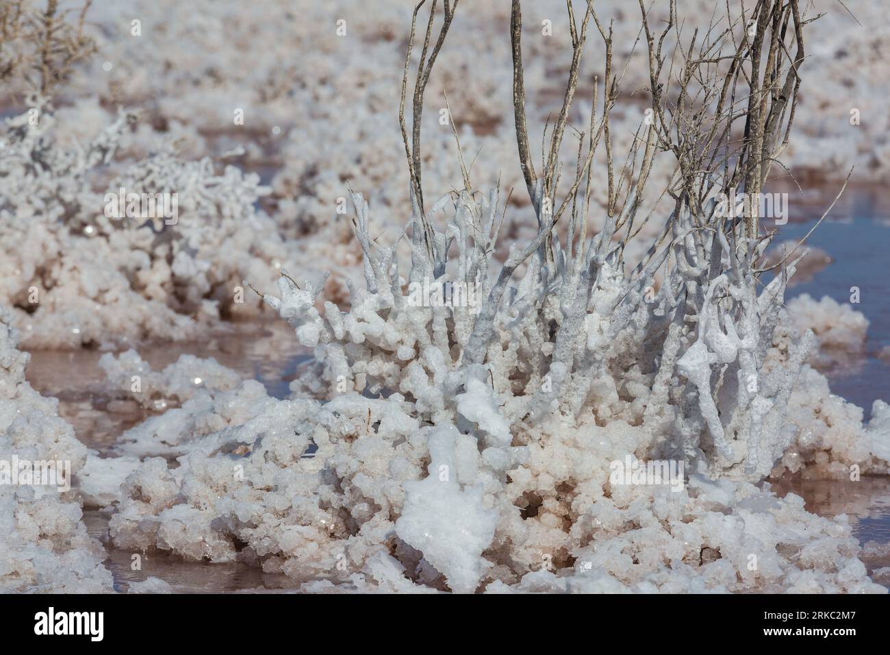 Solar salt mine hi-res stock photography and images - Alamy