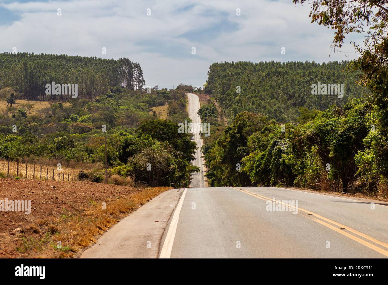 Catalao, Goias, Brazil – August 11, 2023: A tree-lined stretch of BR ...