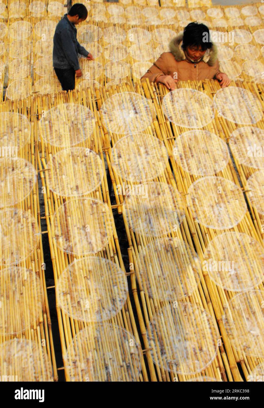 Patato starch hi-res stock photography and images - Alamy