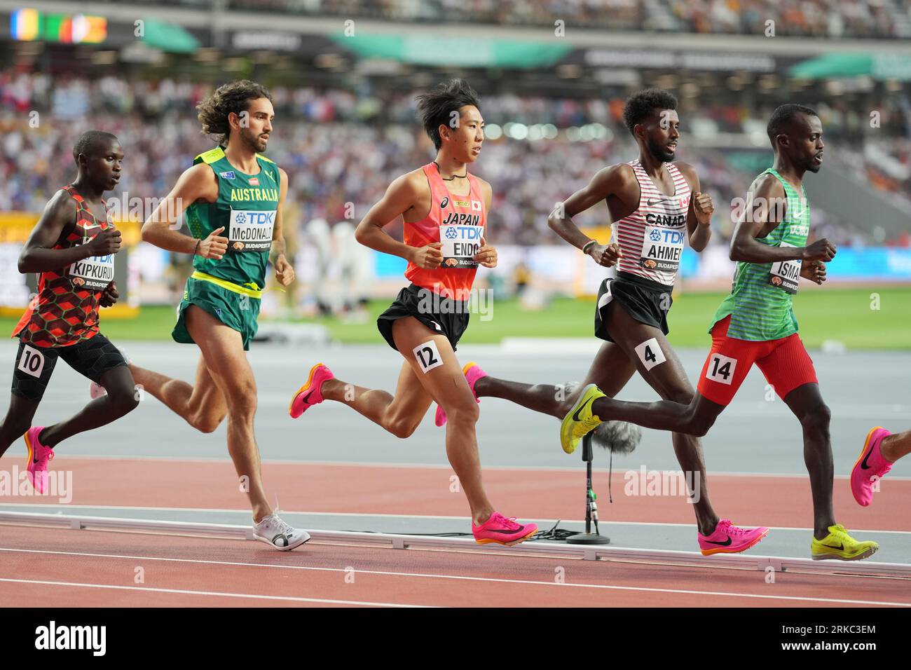 Hyuga endo hi-res stock photography and images - Alamy