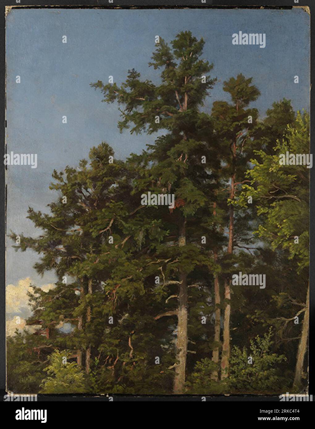 Eichenwipfel circa 1860 by Emil Lugo Stock Photo - Alamy