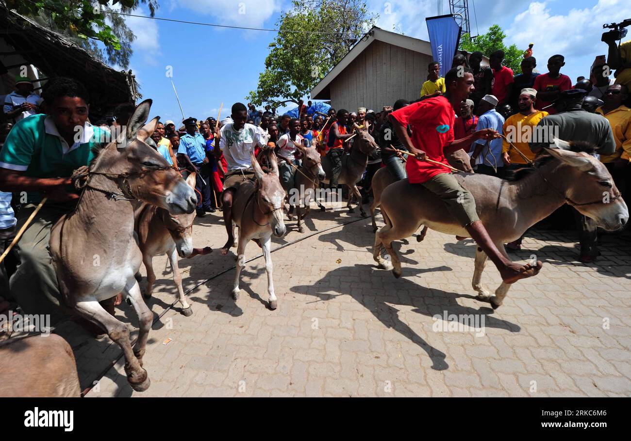 Esel rennen hi-res stock photography and images - Alamy