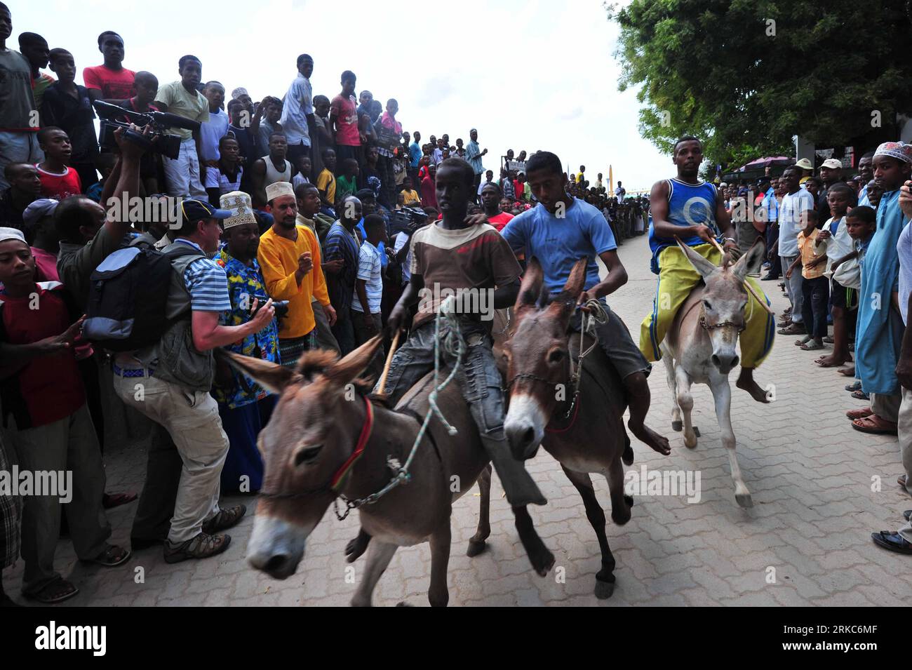 Esel rennen hi-res stock photography and images - Alamy