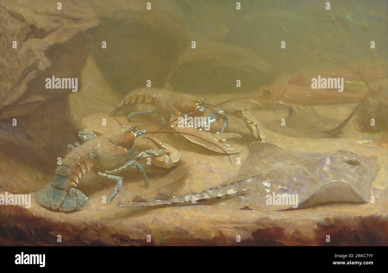 Kreeften en rog by Gerrit Willem Dijsselhof Stock Photo - Alamy