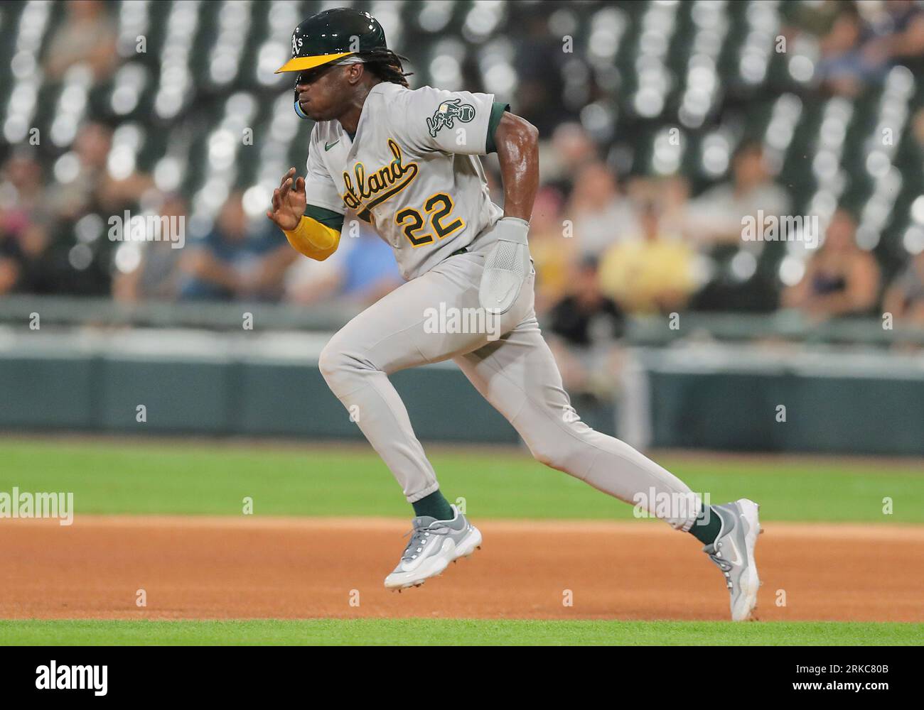 CHICAGO, IL - AUGUST 24: Oakland Athletics outfielder Lawrence Butler ...