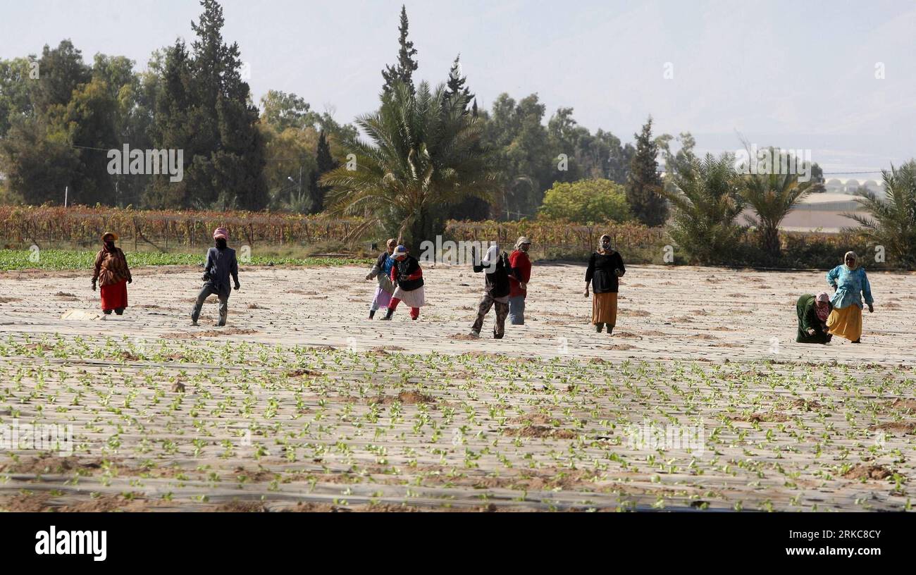 Bildnummer: 54696602 Datum: 01.12.2010 Copyright: imago/Xinhua (101201 ...