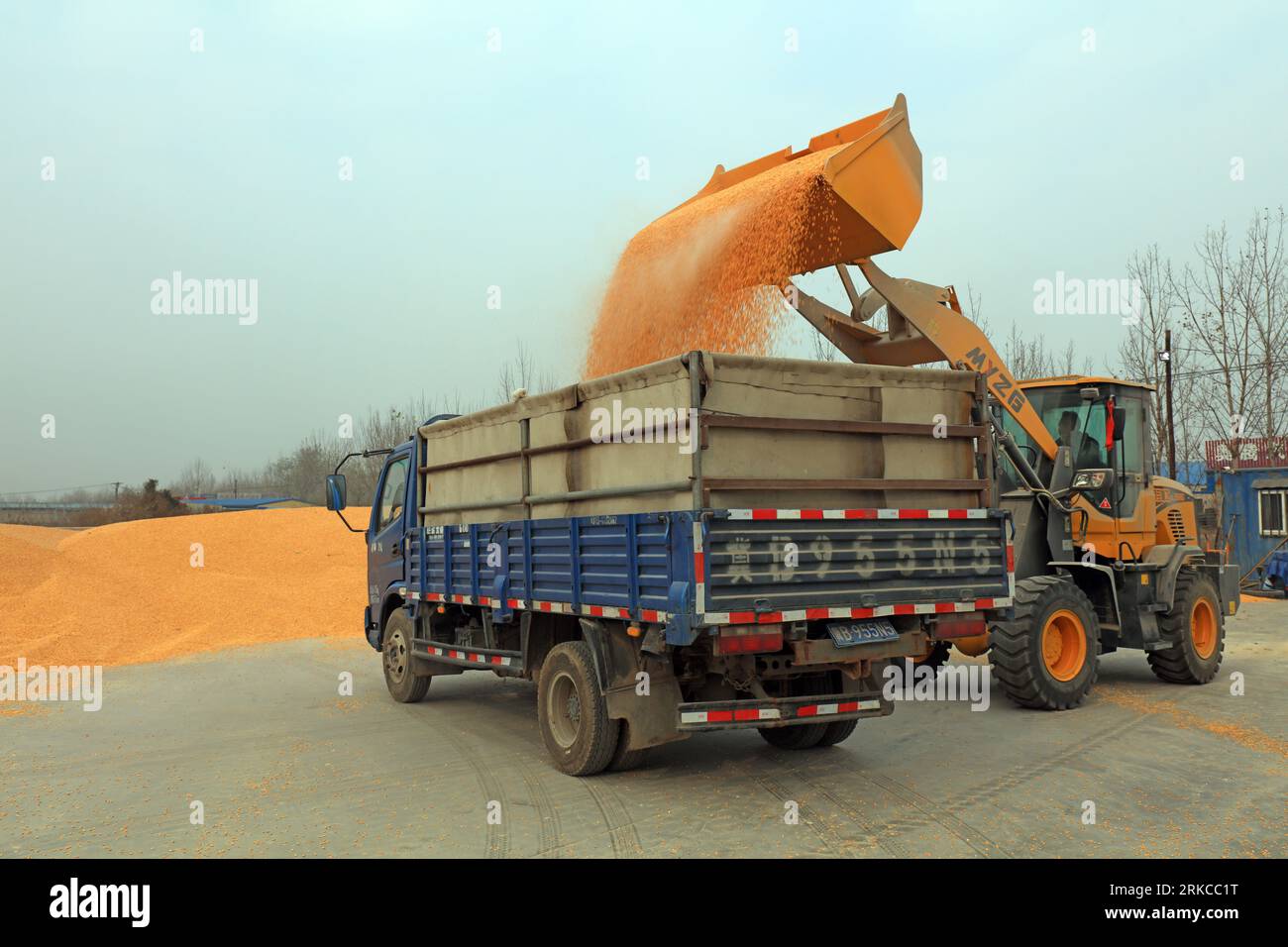Mechanical reaping machine hi-res stock photography and images - Alamy