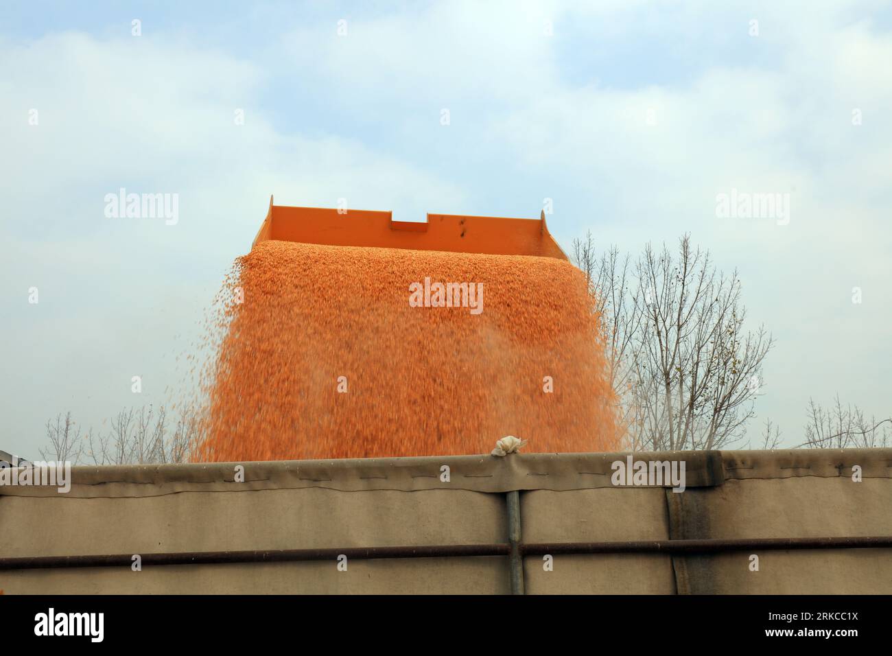 Industrial loader on farm hi-res stock photography and images - Alamy