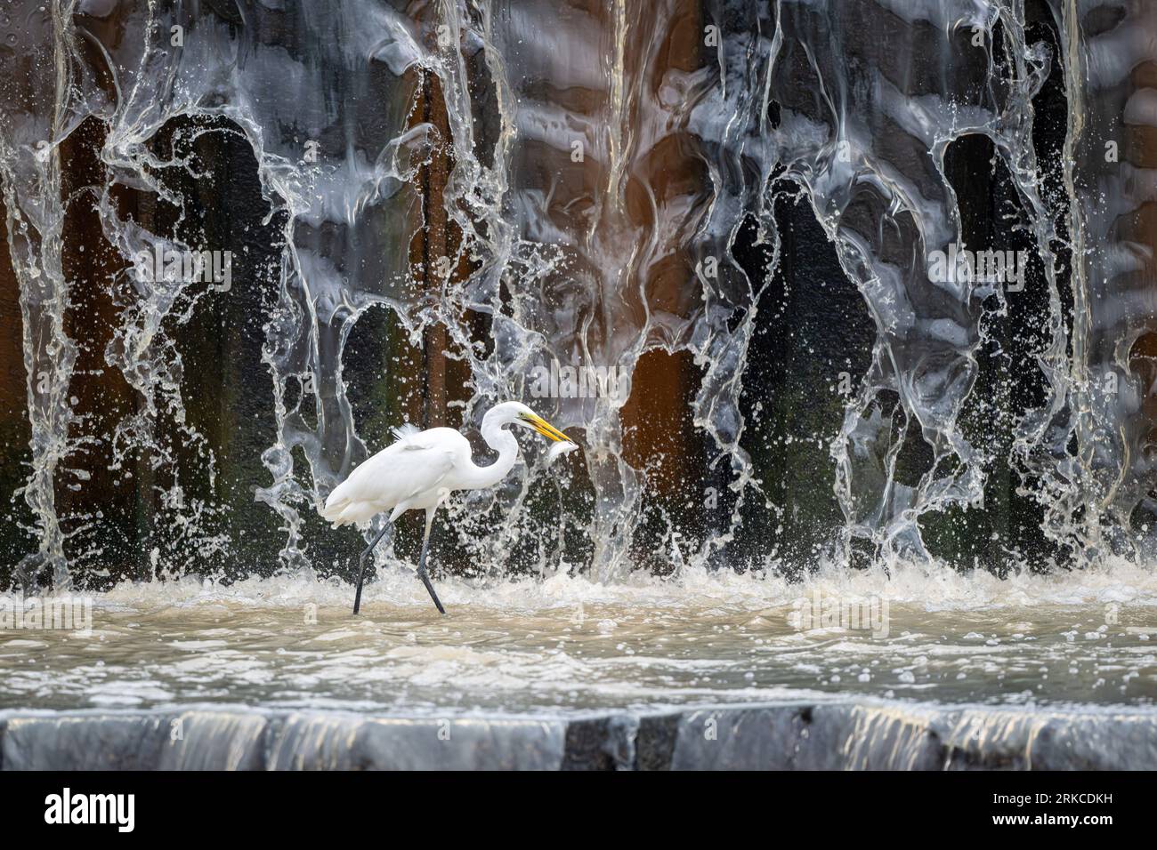 Warrego river weir hi-res stock photography and images - Alamy
