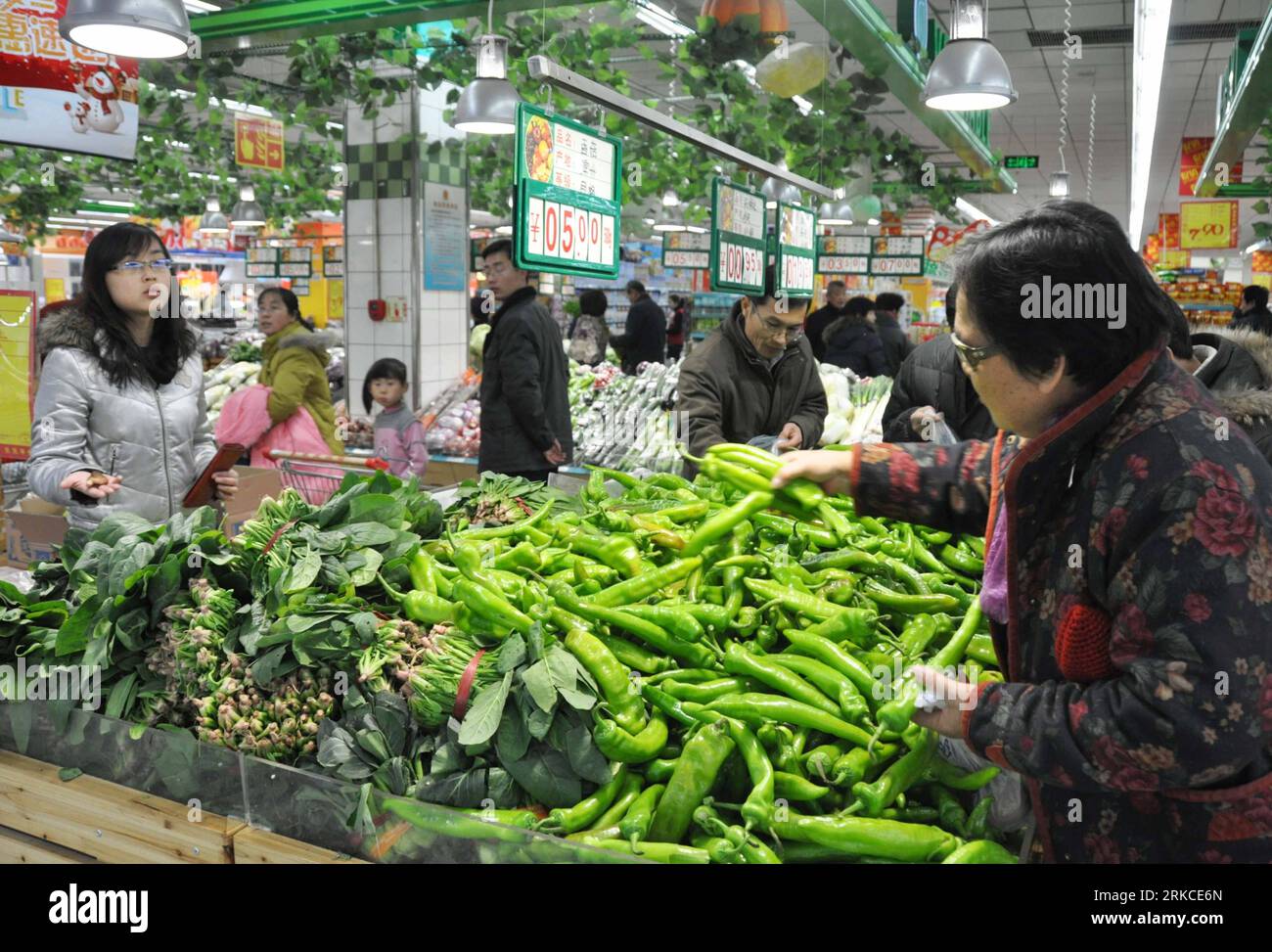 18 types hi-res stock photography and images - Alamy