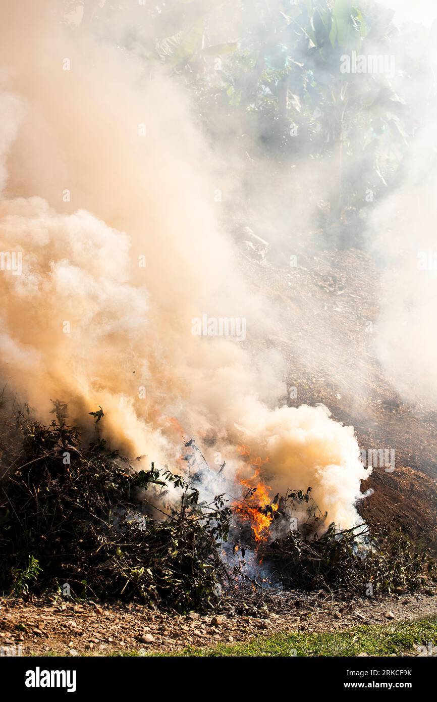 Forest fire in the Colombian mountains - Fire, smoke and contamination ...