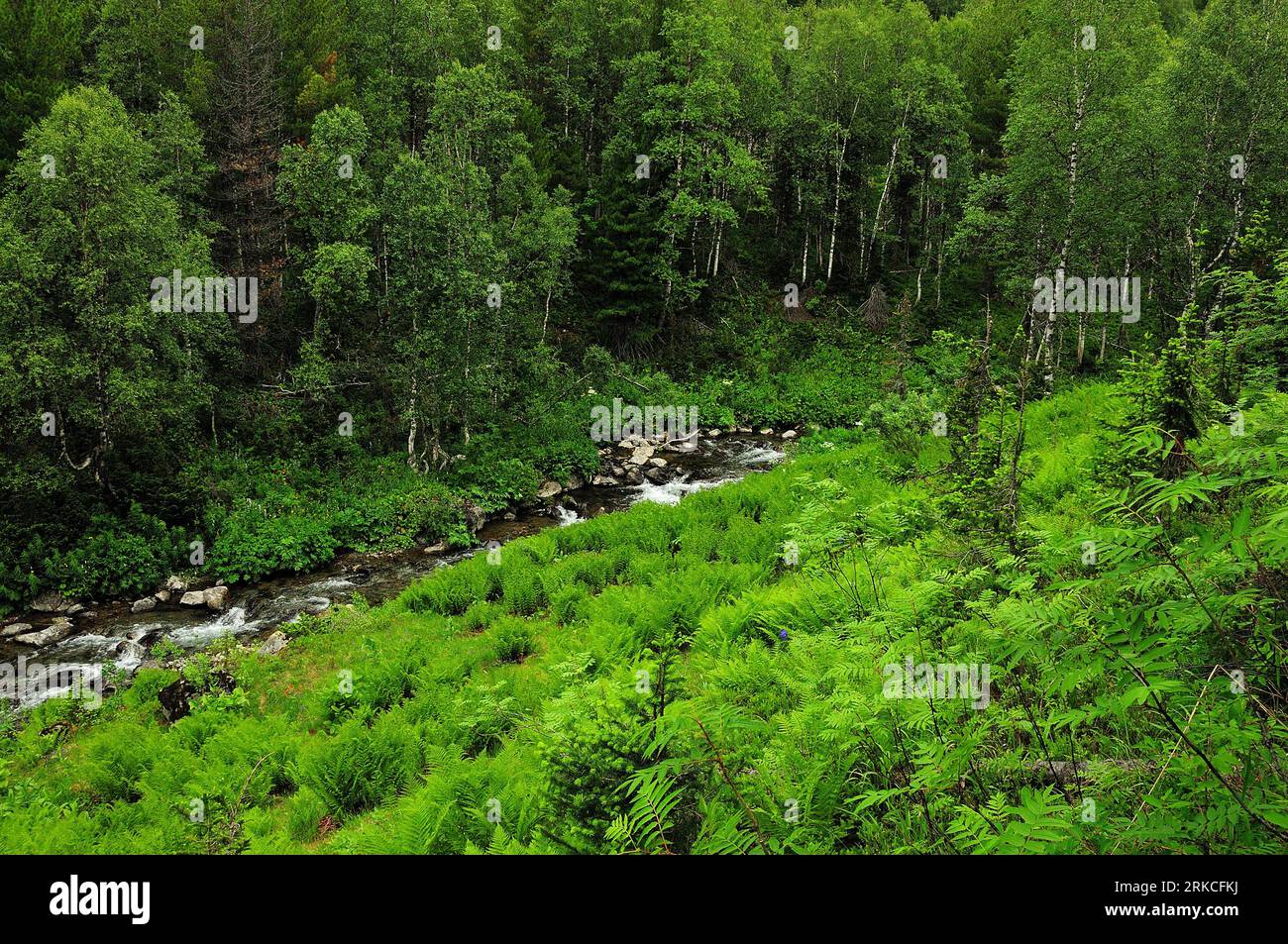 Sarala hi-res stock photography and images - Alamy