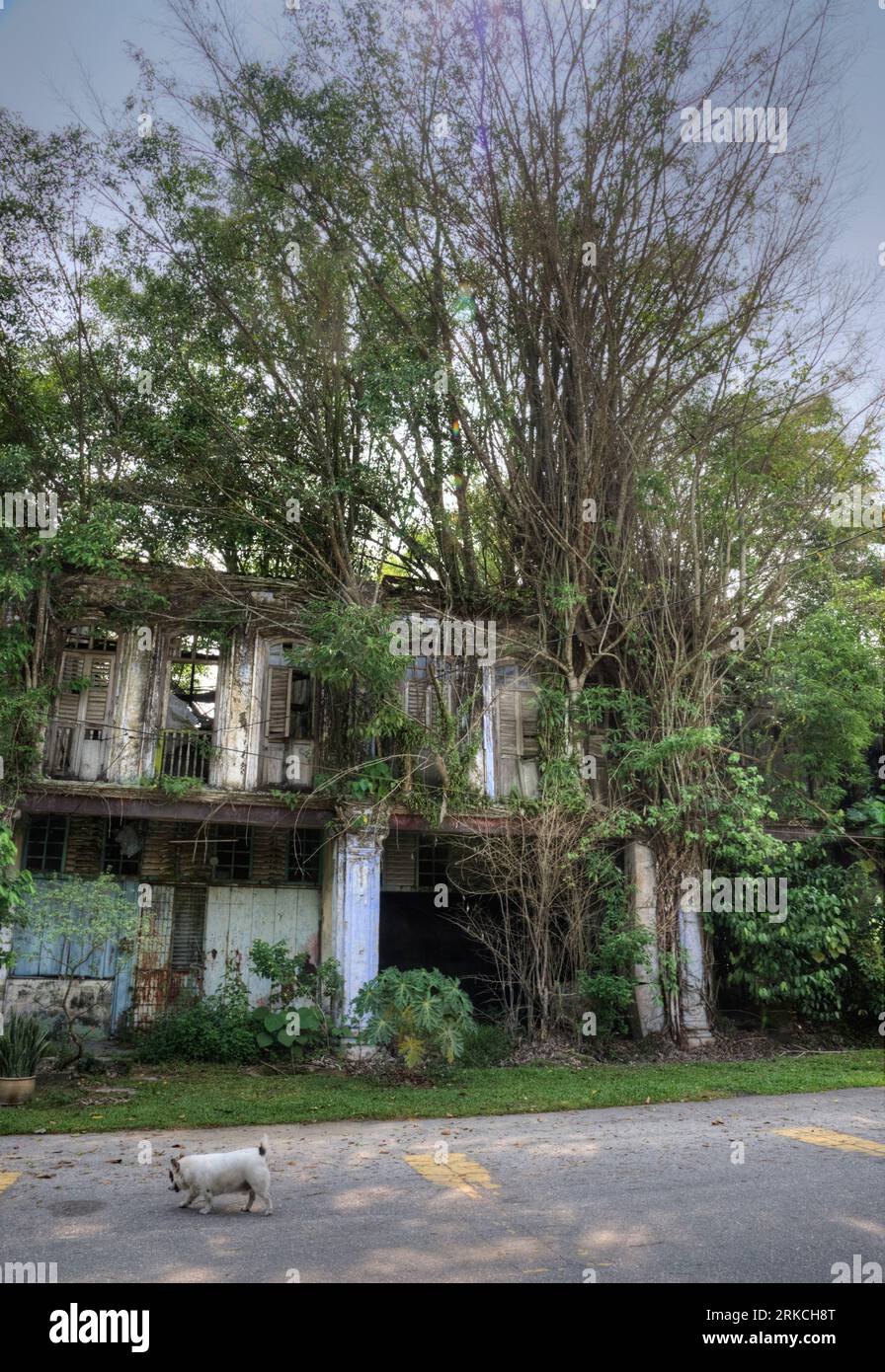 scene of the architectural structure of the deserted colonial building ...
