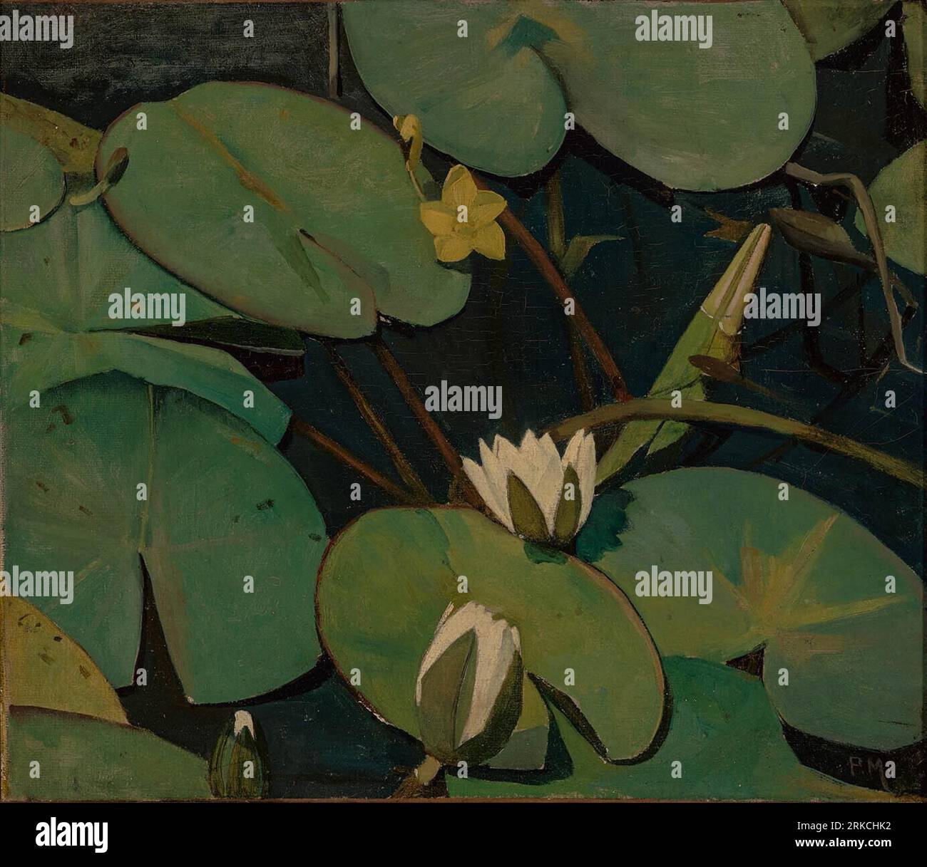 Water Lilies circa 1885 by Piet Meiners Stock Photo - Alamy
