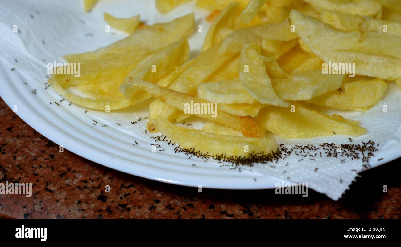 Small and large french fries hi-res stock photography and images - Alamy