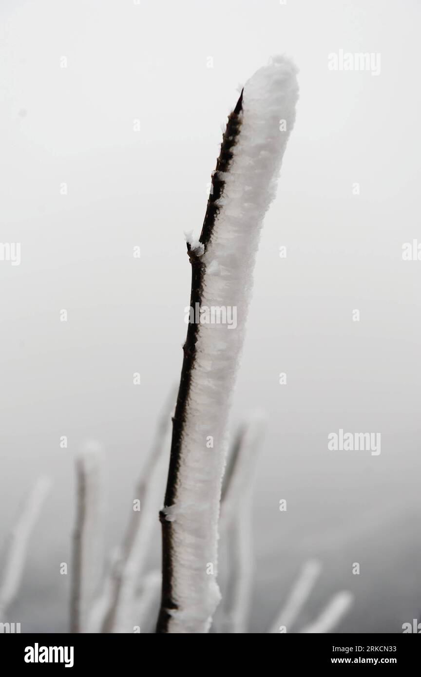 Snap twig hi-res stock photography and images - Alamy