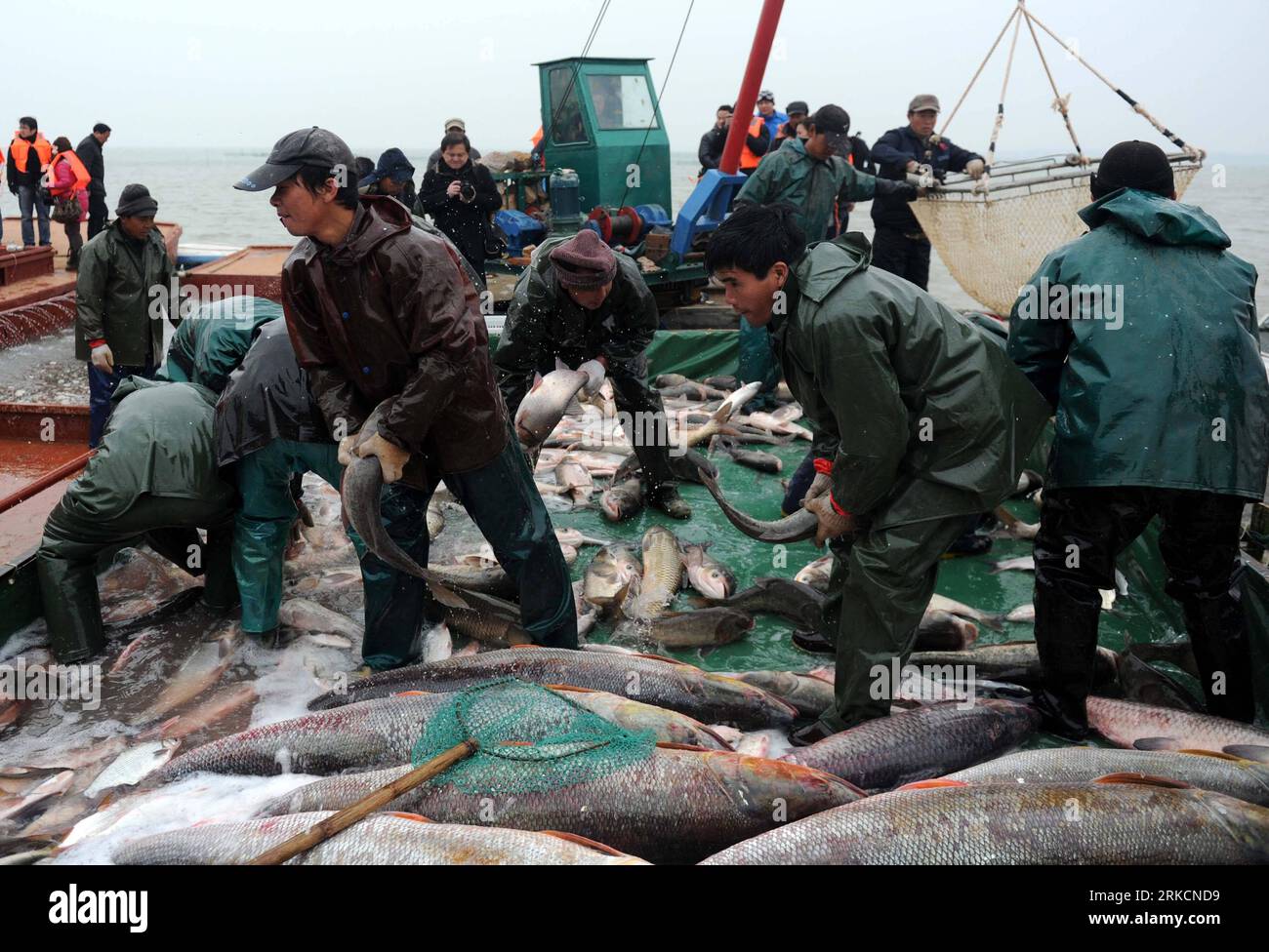 Ke fang hi-res stock photography and images - Alamy