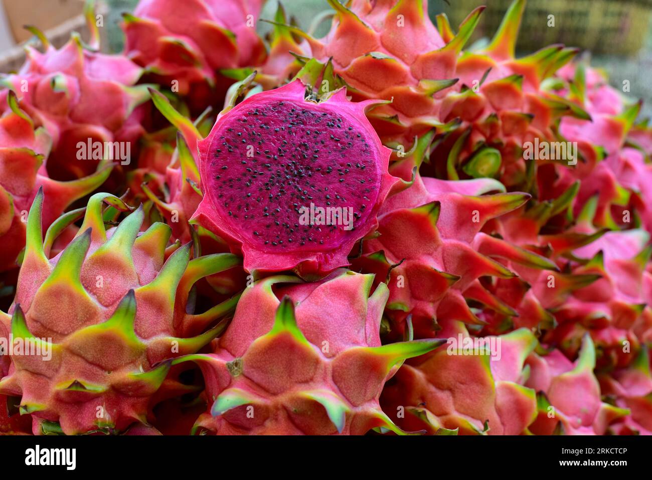 Freshly harvested dragon fruit hi-res stock photography and images - Alamy