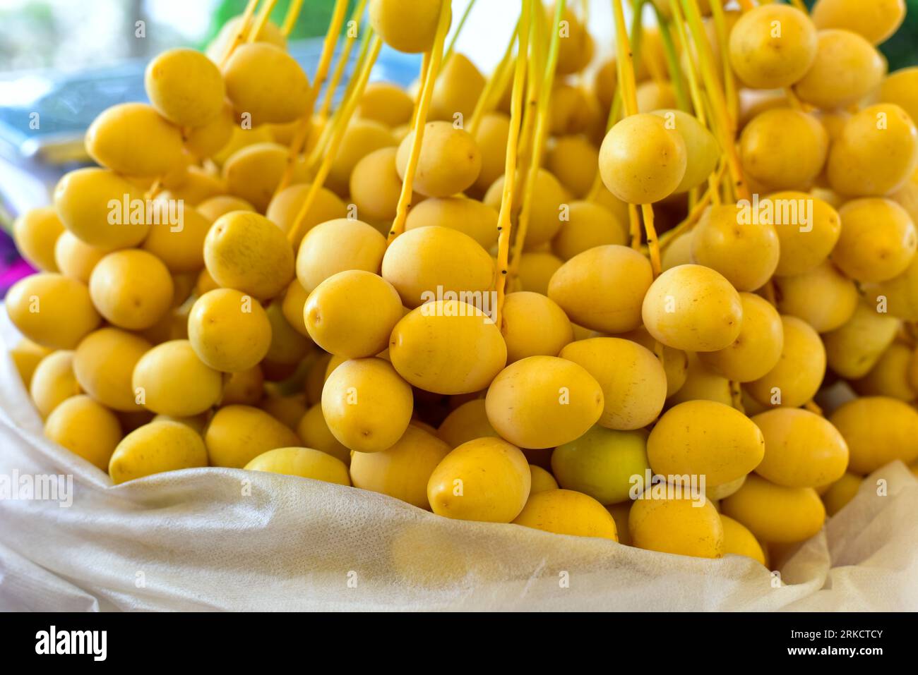 Fresh Yellow Date Palm ready for market Stock Photo - Alamy