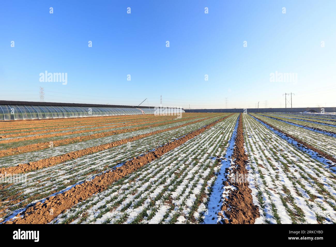 Snow in the fields hi-res stock photography and images - Alamy