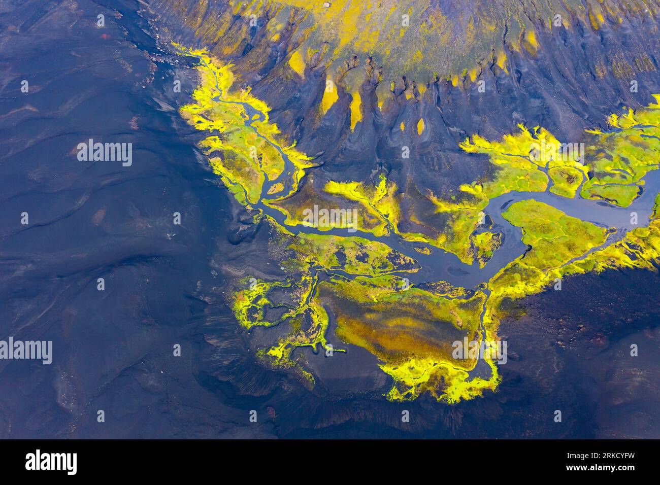 Vegetation patterns hi-res stock photography and images - Alamy