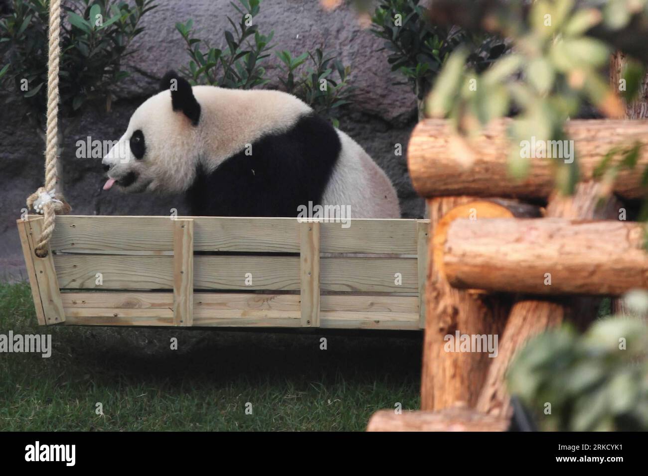 Bildnummer: 54829066 Datum: 18.01.2011 Copyright: imago/Xinhua (110118 ...