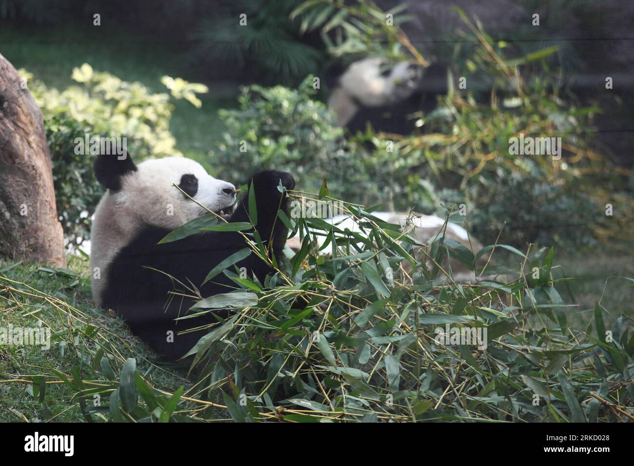 First dat at school hi-res stock photography and images - Alamy