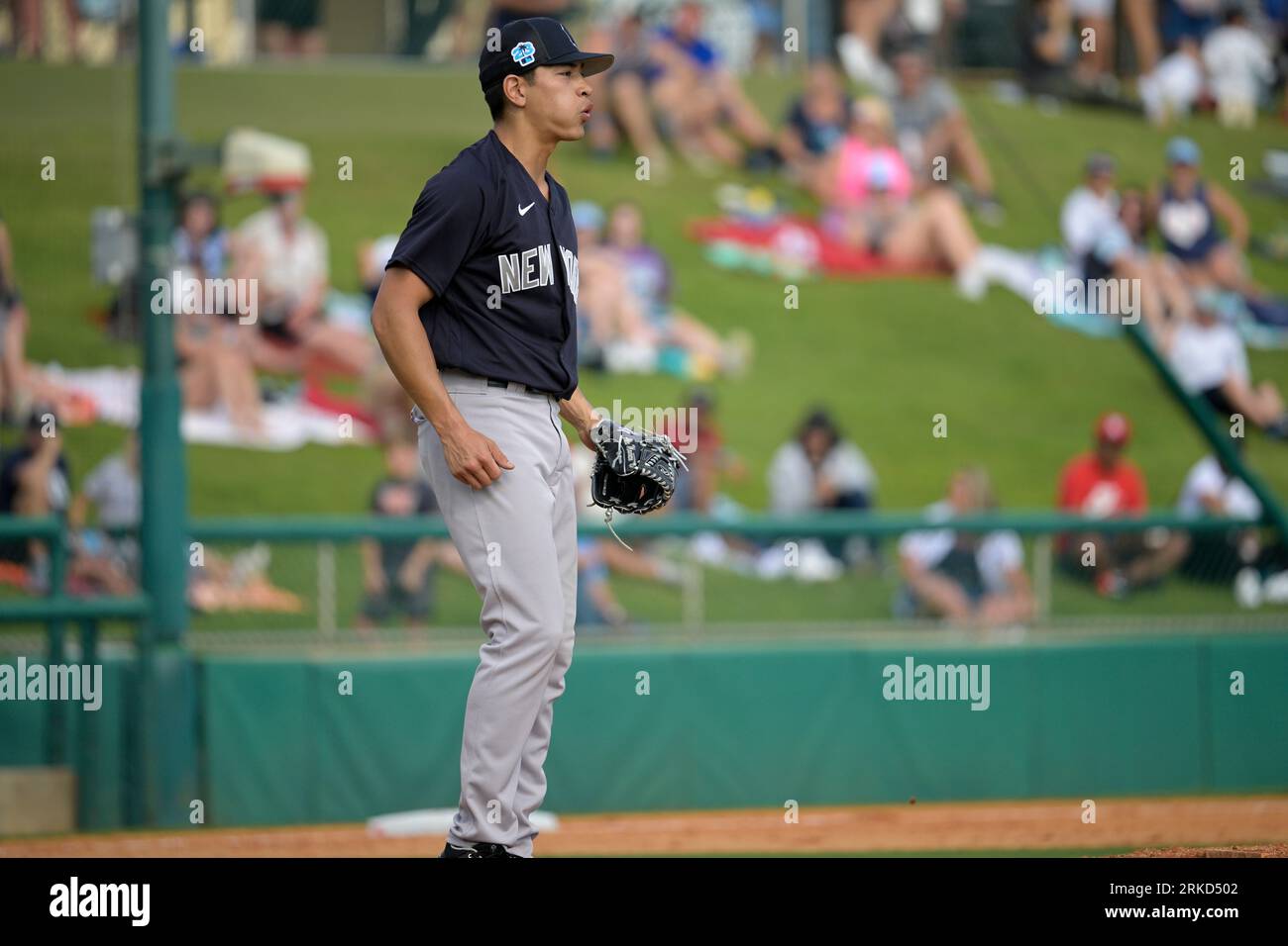 New York Yankees pitcher Alex Mauricio reacts to a play during the ...