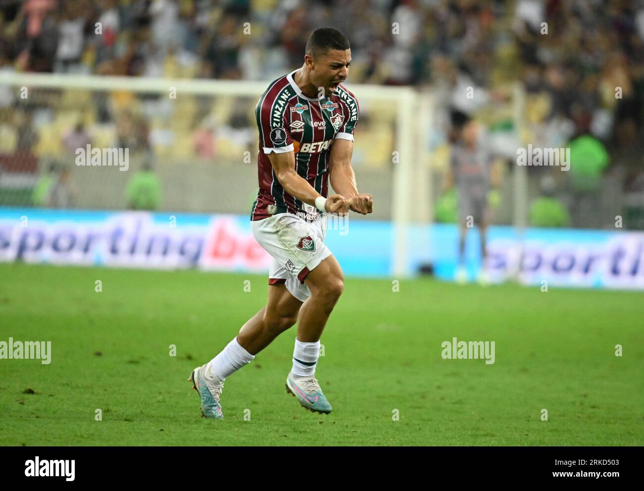 Nilton Santos Stadium match between Botafogo and Defensa y Justicia ...
