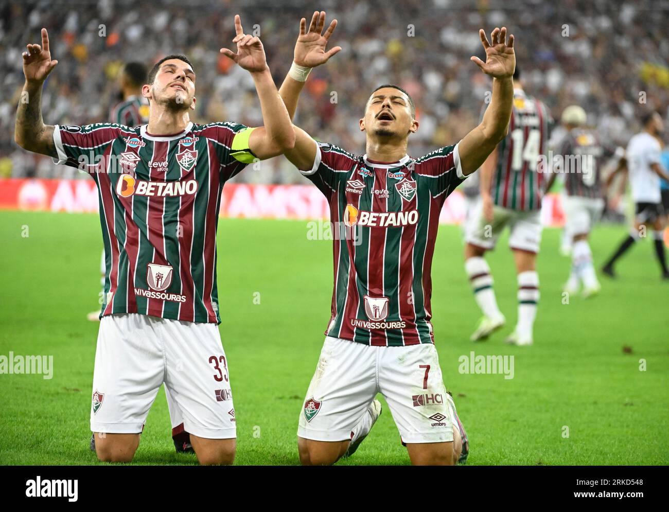 Nilton Santos Stadium match between Botafogo and Defensa y Justicia ...